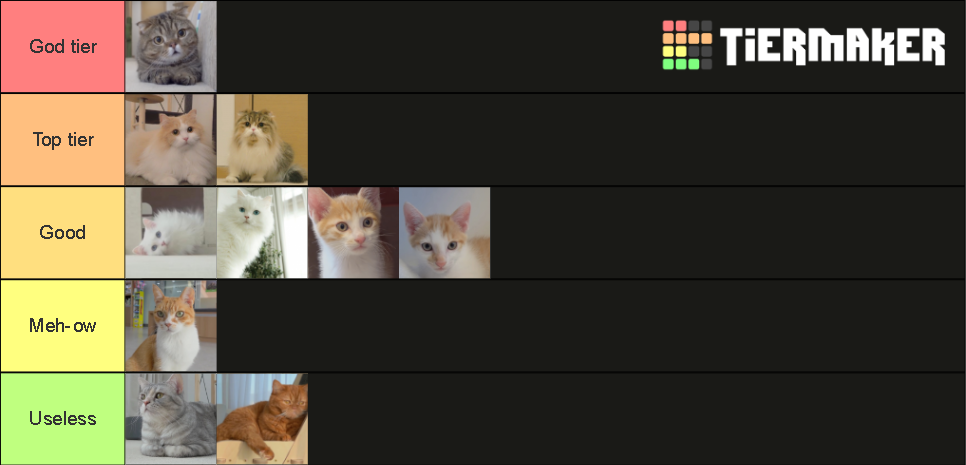 Kittisaurus cats Tier List (Community Rankings) - TierMaker