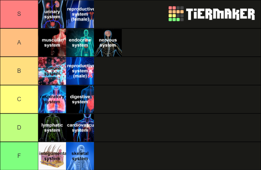 Human Body Systems Tier List (Community Rankings) - TierMaker