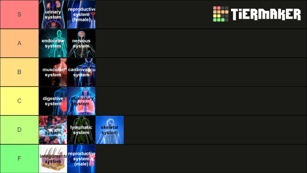 Human Body Systems Tier List (Community Rankings) - TierMaker