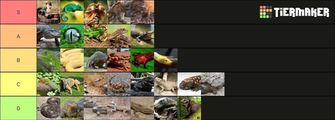 Reptiles 1.0 Tier List (Community Rankings) - TierMaker