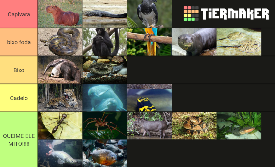 Amazon Wildlife Tier List (Community Rankings) - TierMaker