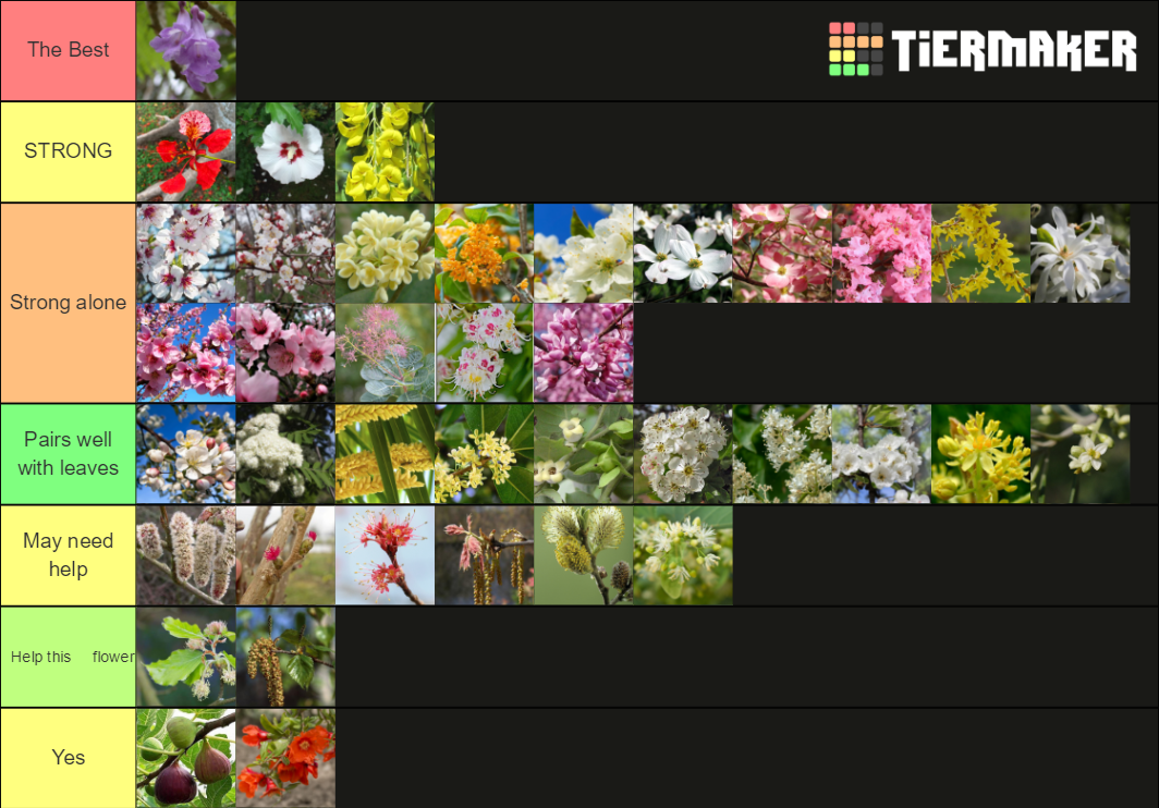 Tree Flowers Tier List (Community Rankings) - TierMaker