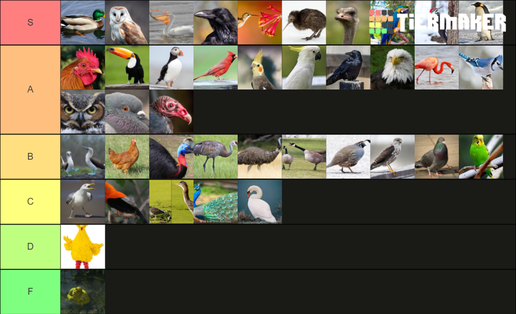 Bird Tier List (Community Rankings) - TierMaker