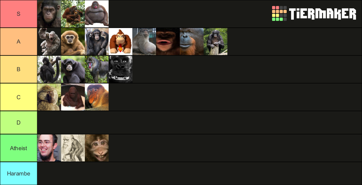 Ape/Monkey Tier List (Community Rankings) - TierMaker