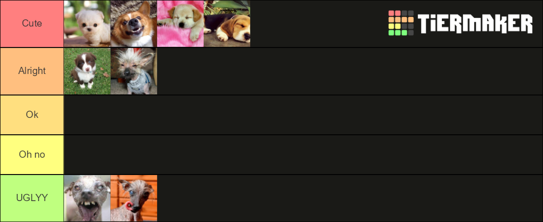 Cute To Ugly Dogs Tier List (Community Rankings) - TierMaker