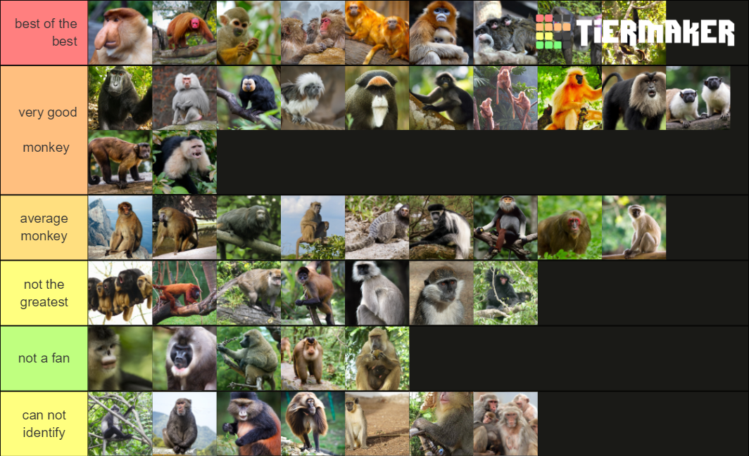 Monkey Tier List (Community Rankings) - TierMaker