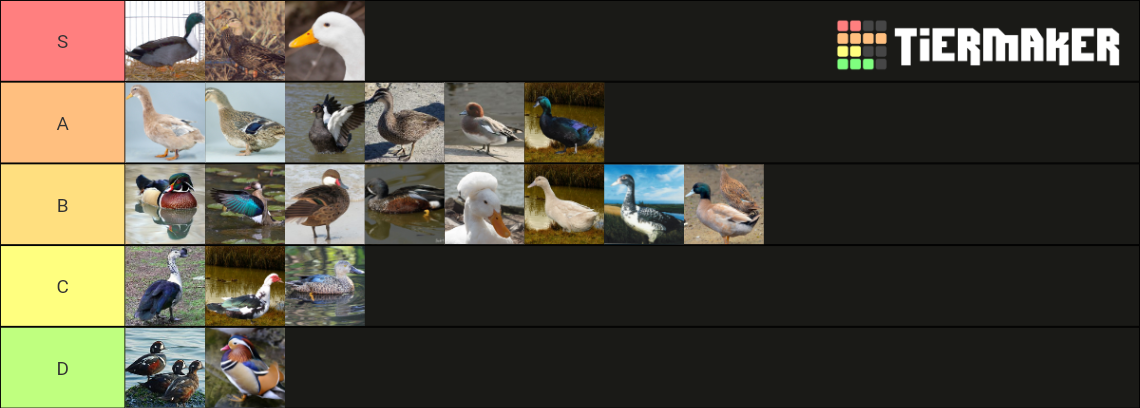 duck list Tier List (Community Rankings) - TierMaker