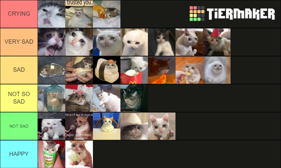 Sad Cats Tier List (Community Rankings) - TierMaker