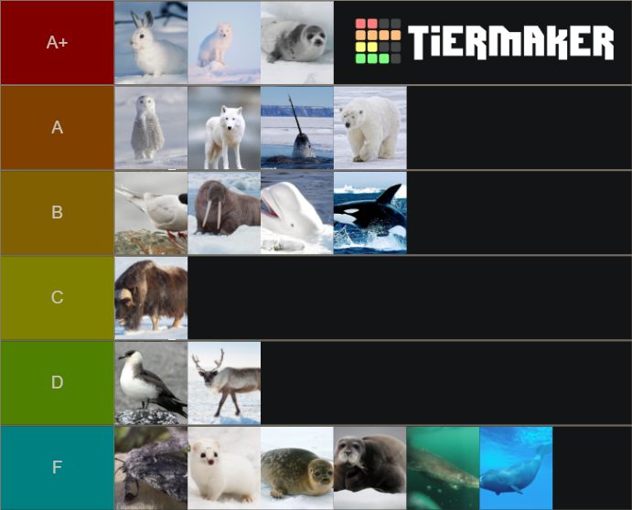 Arctic Animals Tier List (Community Rankings) - TierMaker