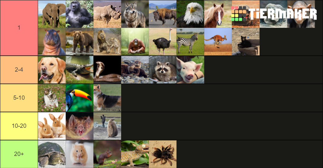 How many animals would it take to beat me in a fight Tier List ...