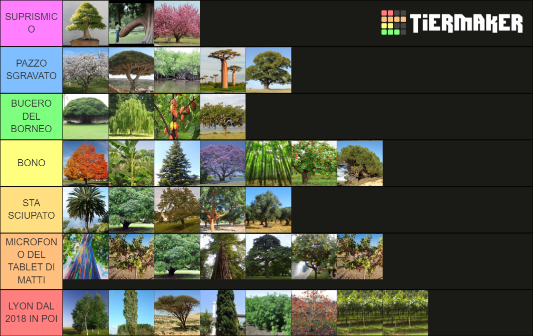 Society of trees Tier List (Community Rankings) - TierMaker