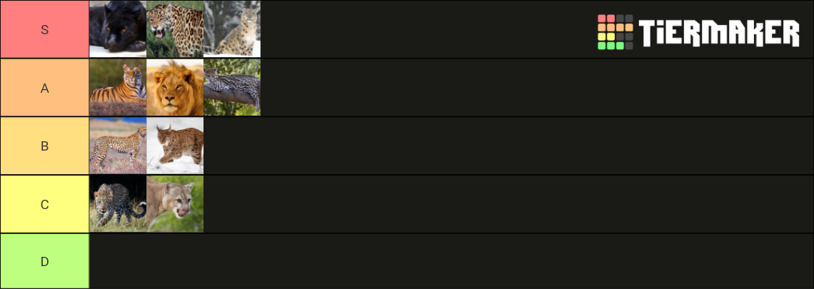Big Cat Tier List (Community Rankings) - TierMaker