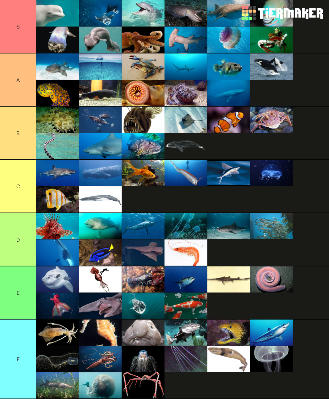 Sea Creatures Tier List (Community Rankings) - TierMaker