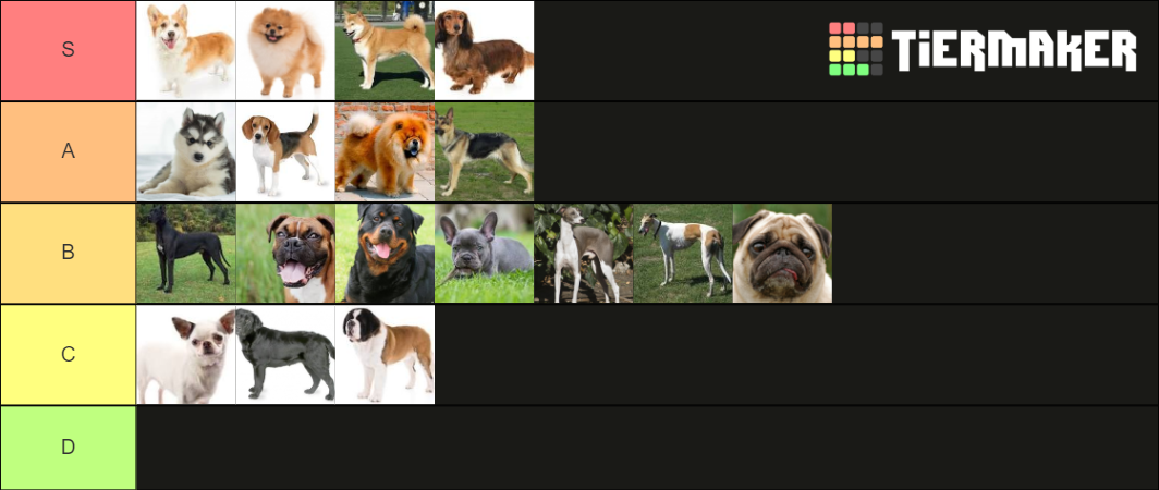 Best dog breeds! Tier List (Community Rankings) - TierMaker