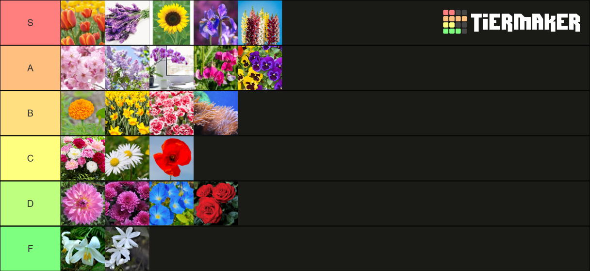 Flower Rankings Tier List (Community Rankings) - TierMaker