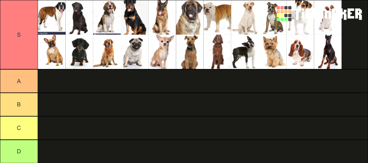 Types of Dogs Tier List (Community Rankings) - TierMaker