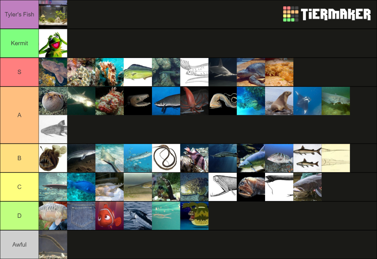Fish and Marine Life Tier List (Community Rankings) - TierMaker
