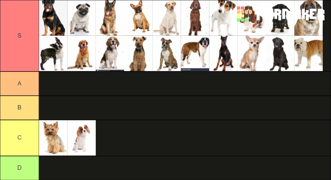 Types of Dogs Tier List (Community Rankings) - TierMaker