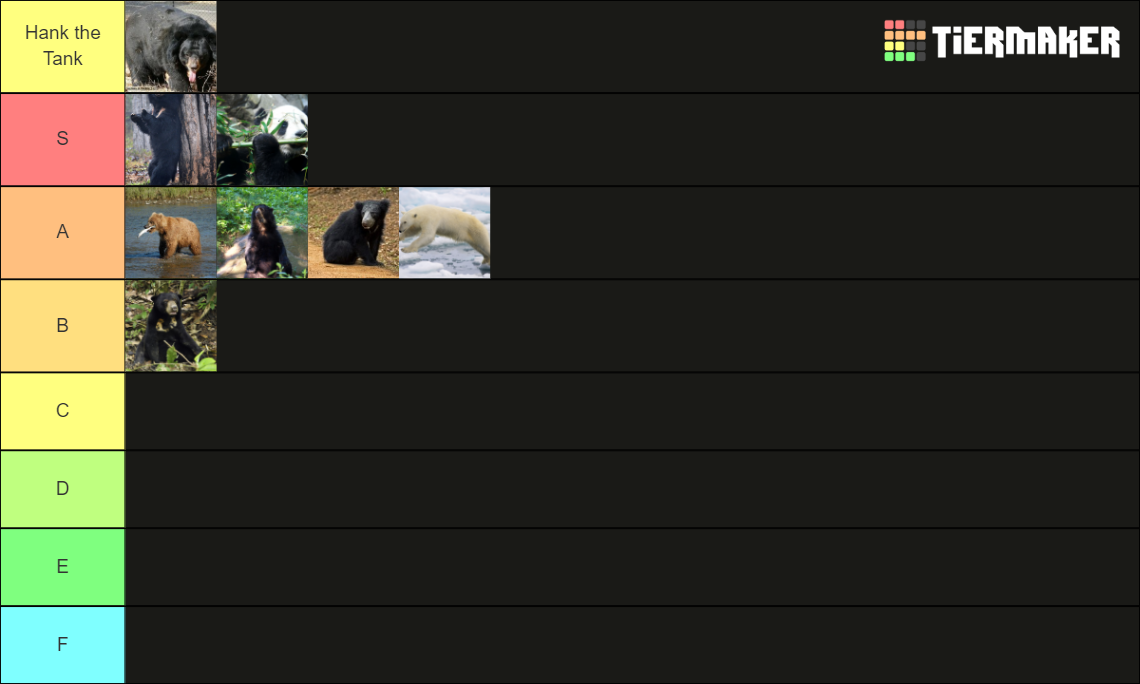 Bears Tier List (Community Rankings) - TierMaker