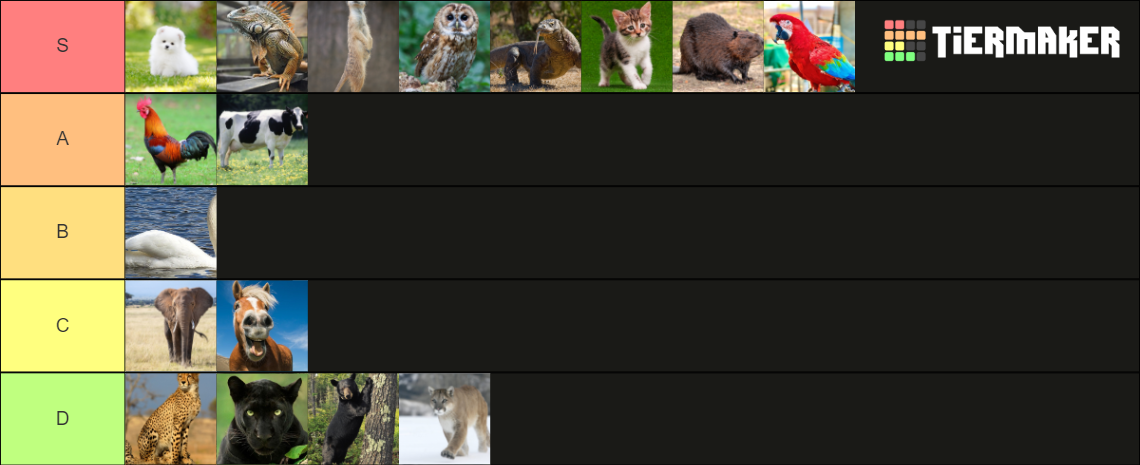 Animals I Could Beat In a Fight Tier List (Community Rankings) - TierMaker