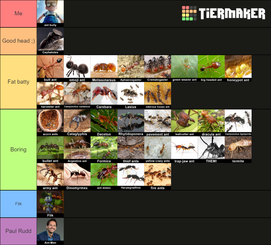 Ants: The Definitive Tier List (Community Rankings) - TierMaker