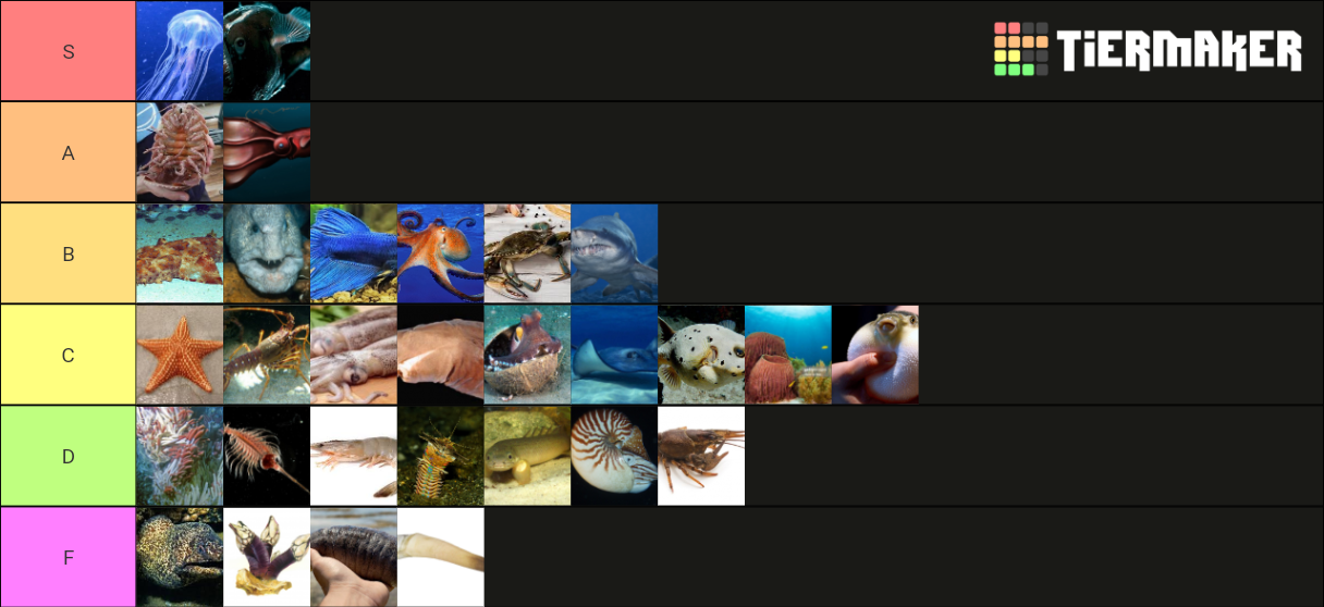Sea Animals Tier List (Community Rankings) - TierMaker