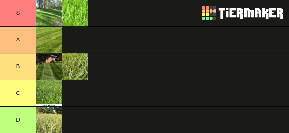 Grass Tier List (Community Rankings) - TierMaker