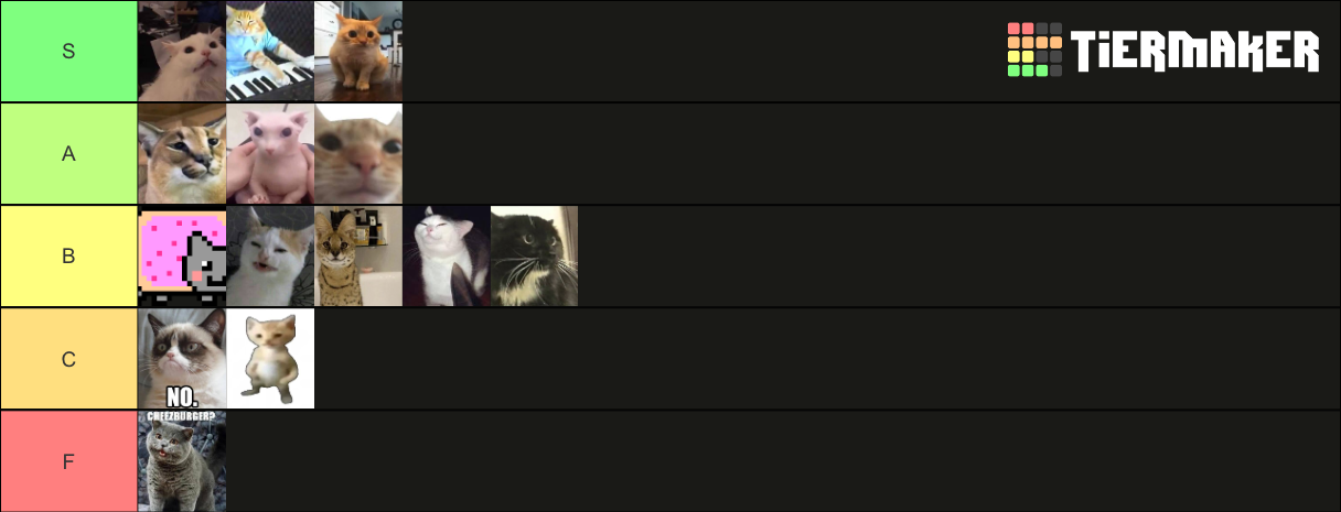 Cat memes Tier List (Community Rankings) - TierMaker