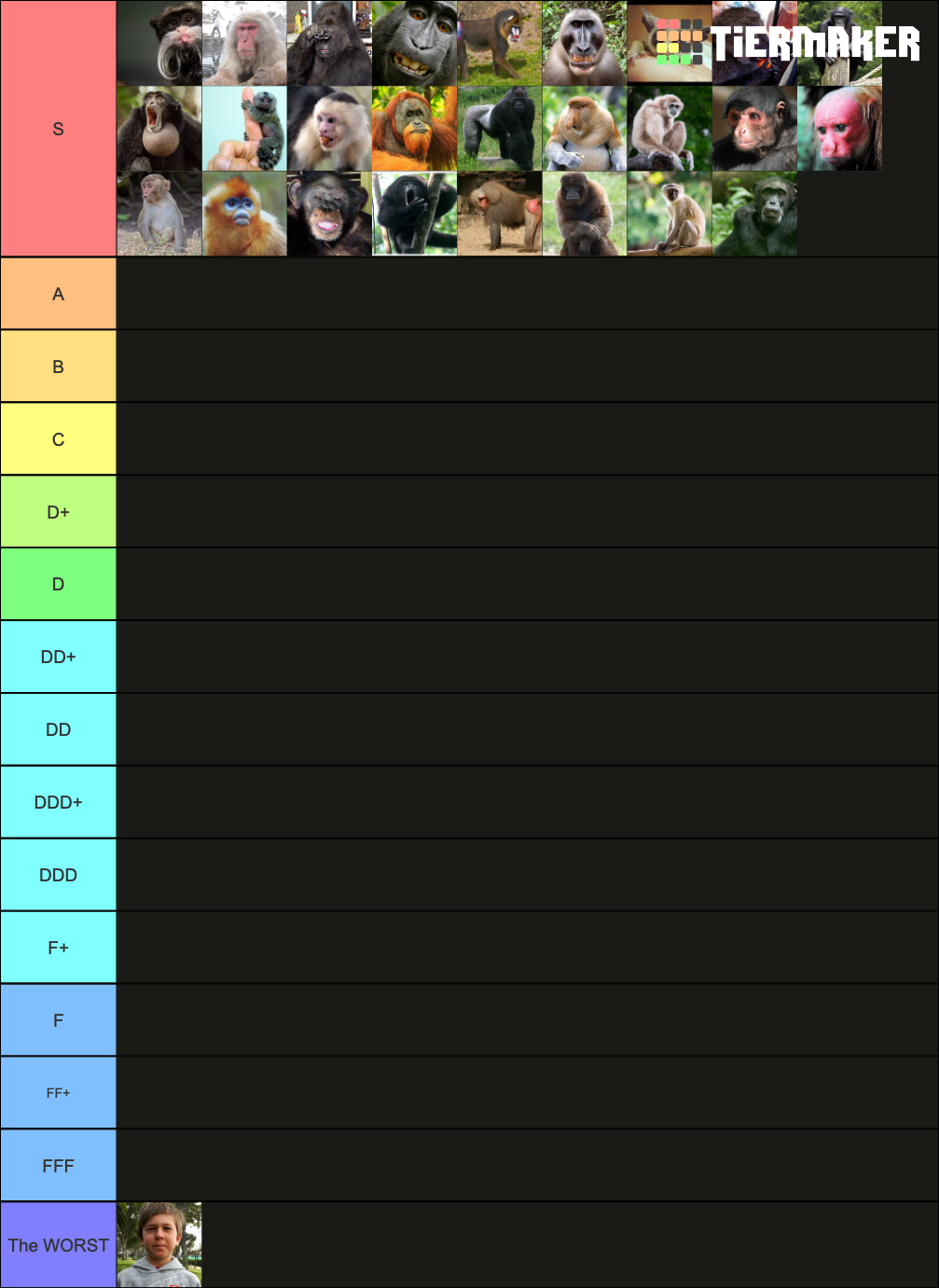 monkey Tier List (Community Rankings) - TierMaker