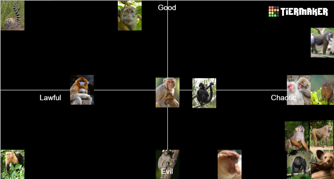 monkey Tier List (Community Rankings) - TierMaker