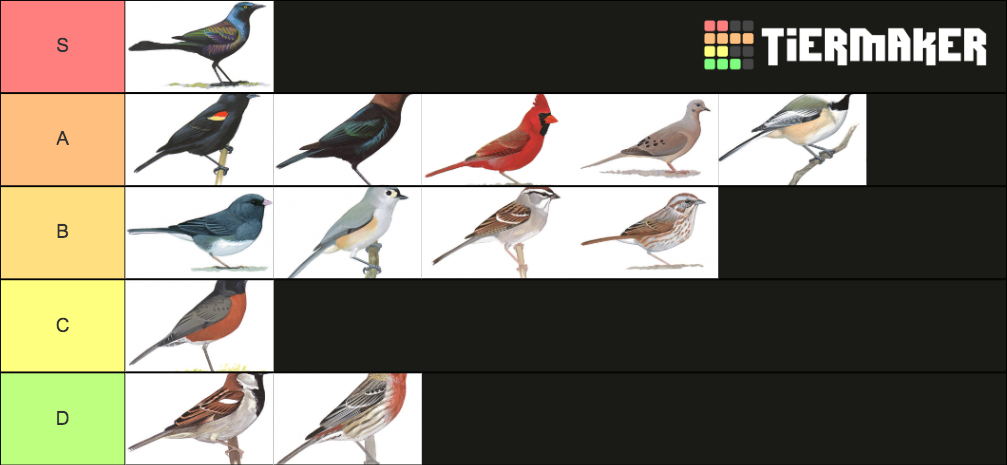 Bird Feeder Dominance Hierarchy Tier List (Community Rankings) - TierMaker
