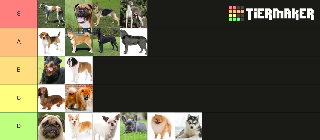Best dog breeds! Tier List (Community Rankings) - TierMaker