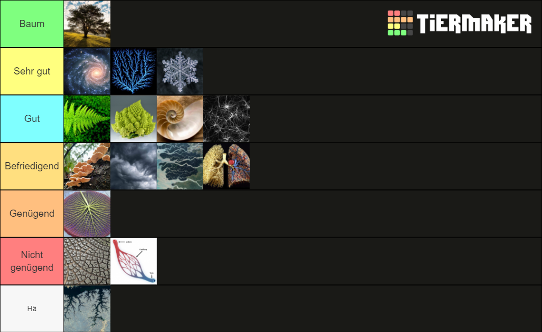 Fractals in nature Tier List (Community Rankings) - TierMaker