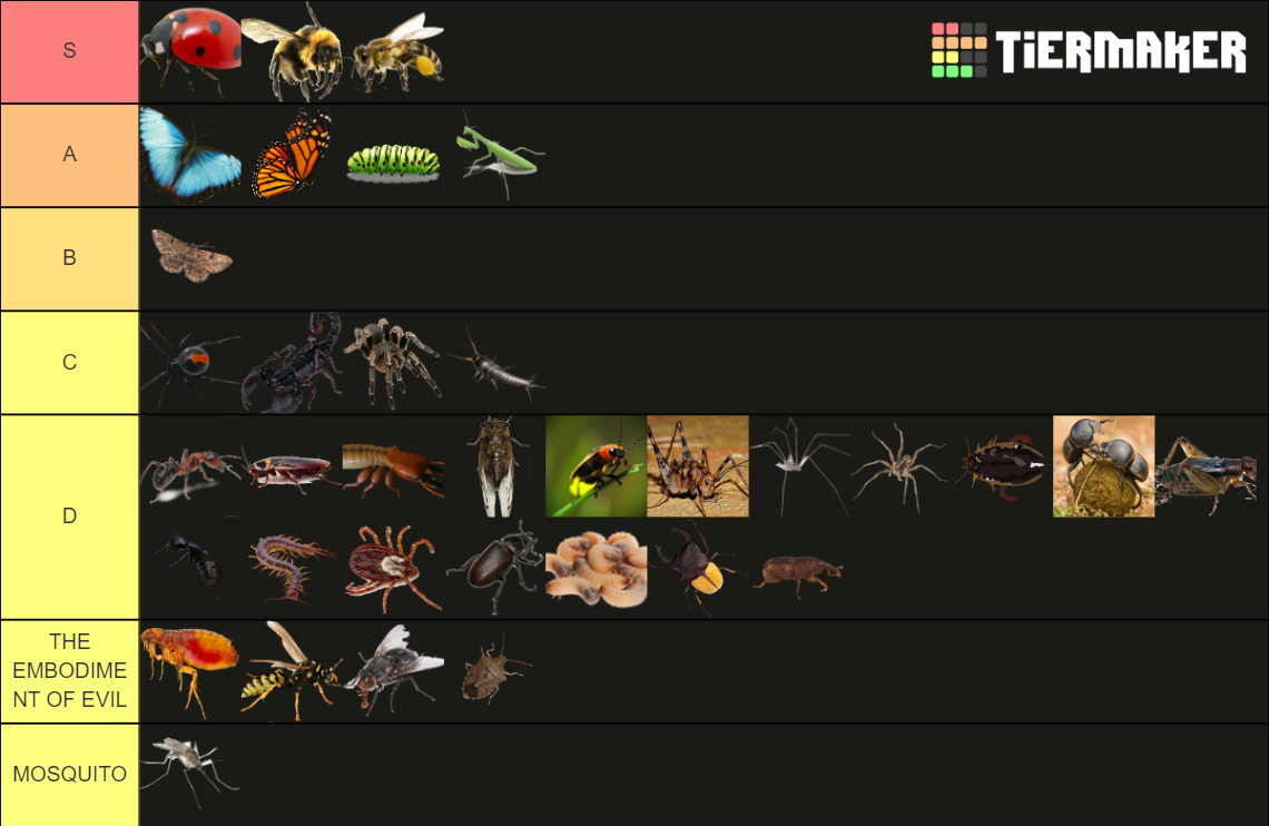 Insect/Arachnid Tierlist Tier List (Community Rankings) - TierMaker