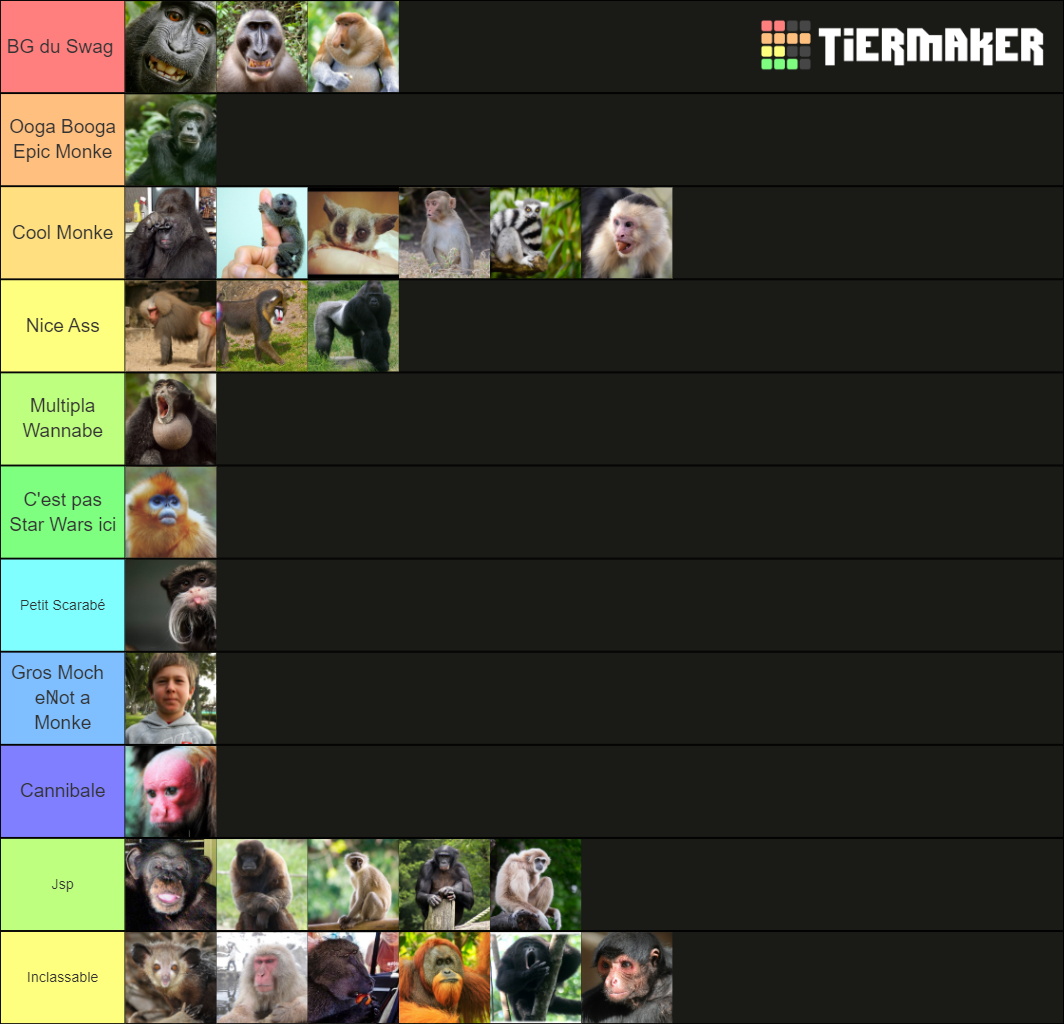 monkey Tier List (Community Rankings) - TierMaker