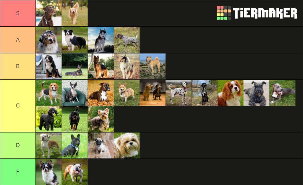 Dog Breeds Tier List (Community Rankings) - TierMaker