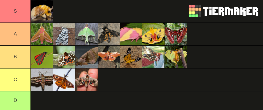 Moth Tier List (Community Rankings) - TierMaker