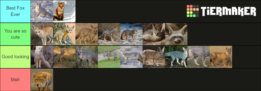 Fox Species Tier List (Community Rankings) - TierMaker