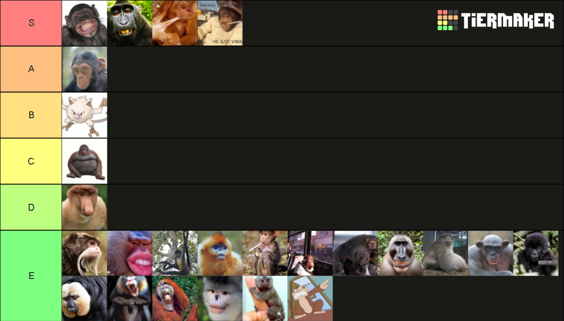 monkey Tier List (Community Rankings) - TierMaker