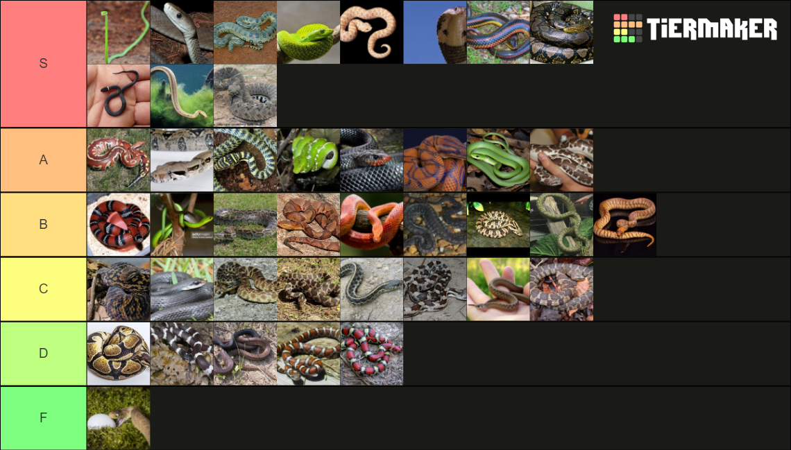 Snake Tier List (Community Rankings) - TierMaker