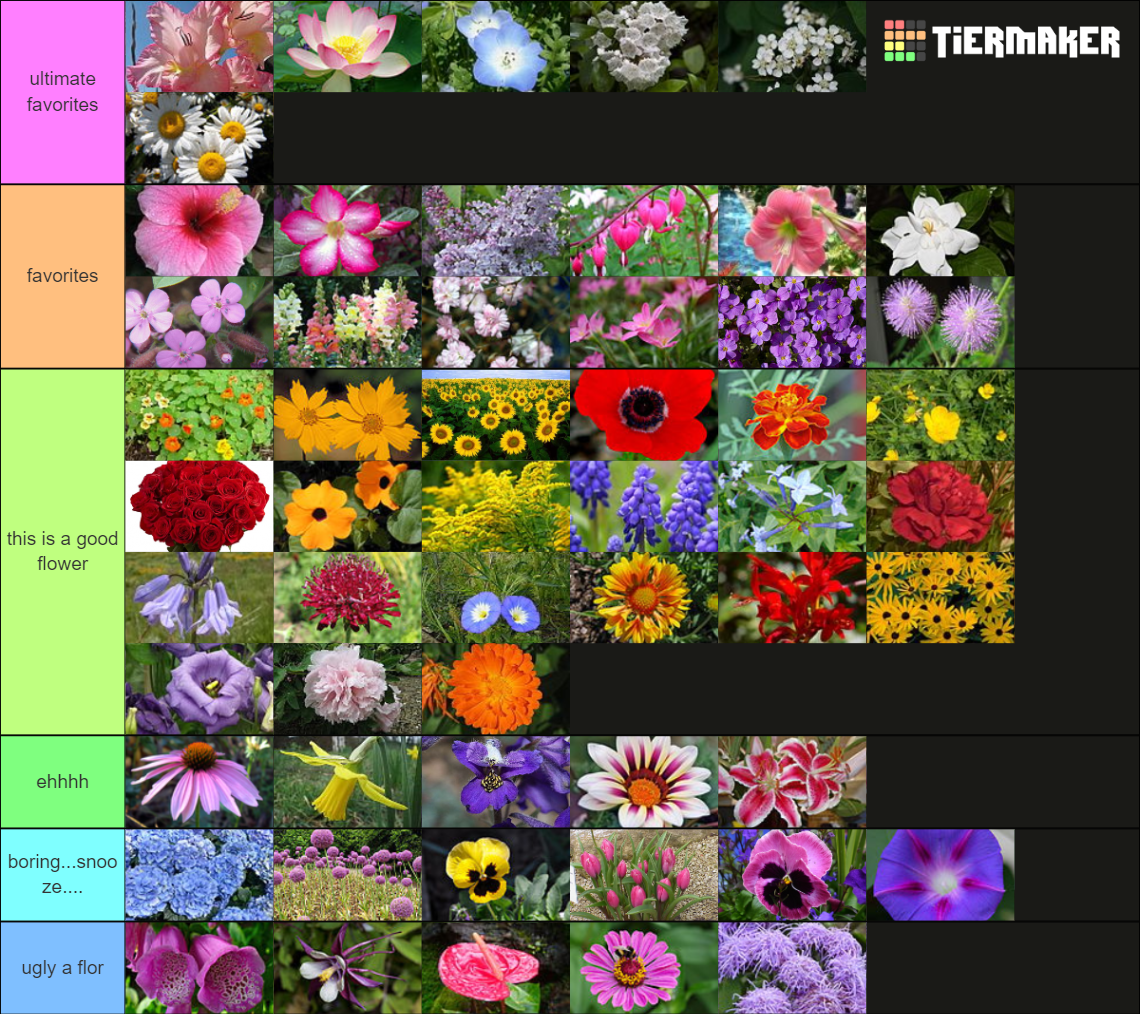 rating flowers Tier List (Community Rankings) - TierMaker