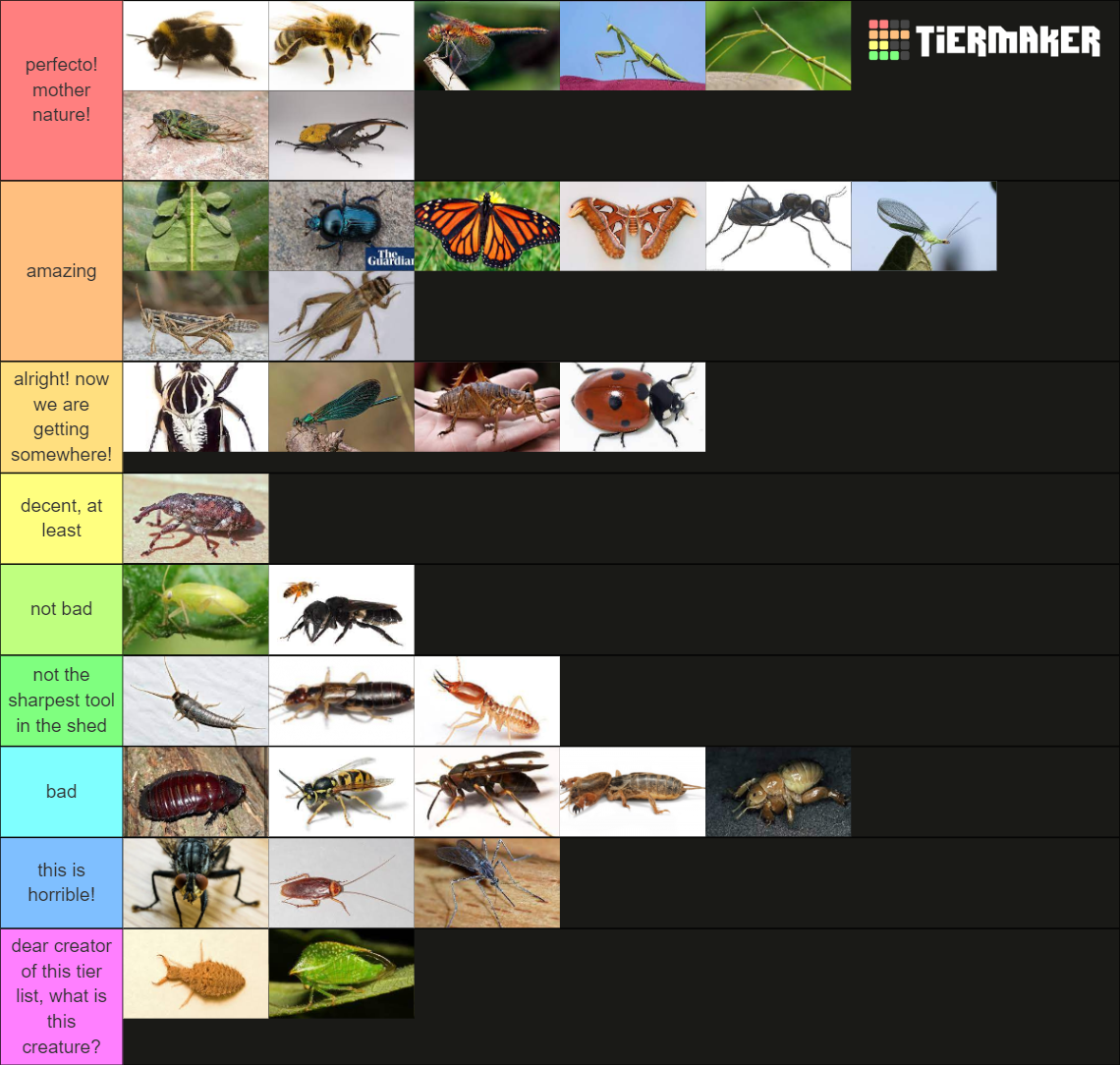 best insects in my opinion Tier List (Community Rankings) - TierMaker
