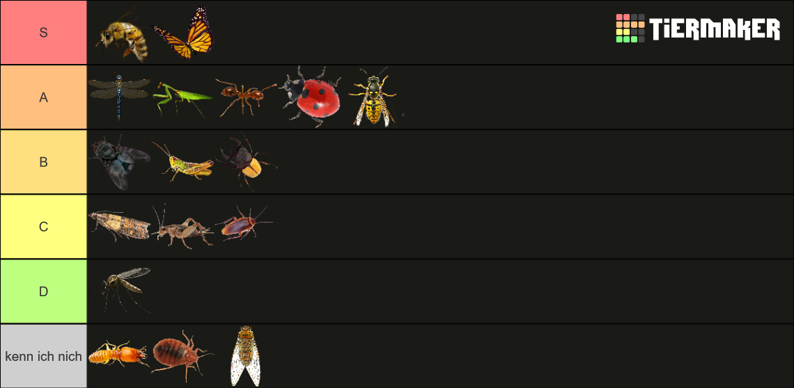 Insects Tier List (Community Rankings) - TierMaker