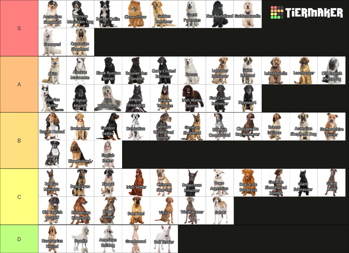 Large dog breeds (66 breeds) Tier List (Community Rankings) - TierMaker