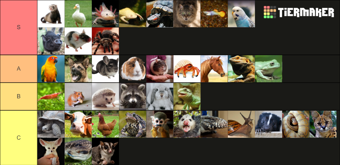 ULTIMATE PET TIER LIST Tier List (Community Rankings) - TierMaker