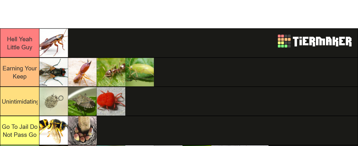 Pest Insects Tier List (Community Rankings) - TierMaker