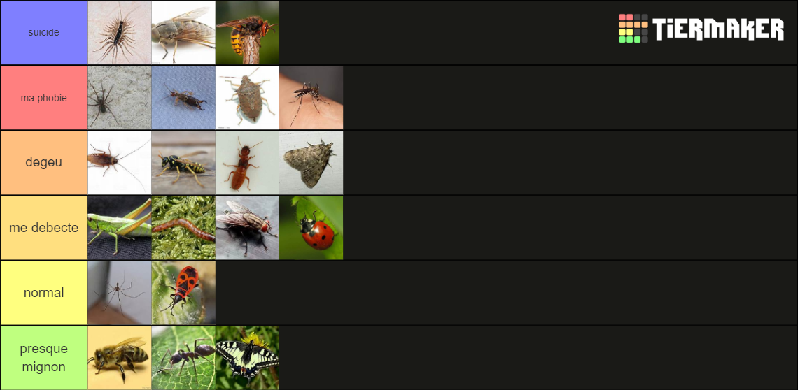 insectes du quotidien les plus degeu Tier List (Community Rankings ...