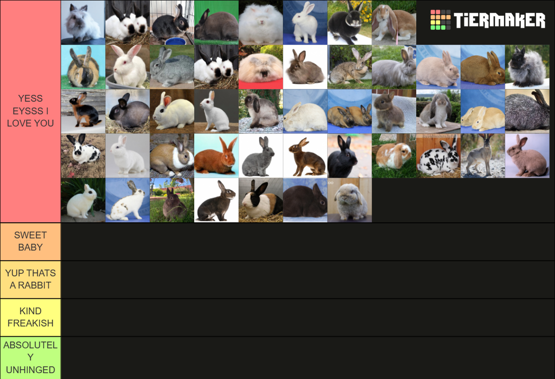 Rabbit Breeds Tier List (Community Rankings) - TierMaker