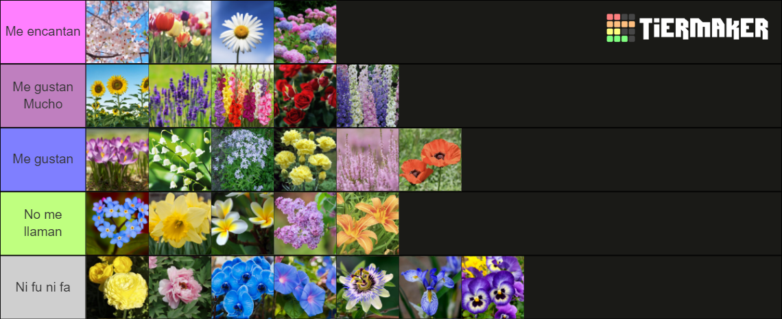 Types of Flowers Tier List (Community Rankings) - TierMaker