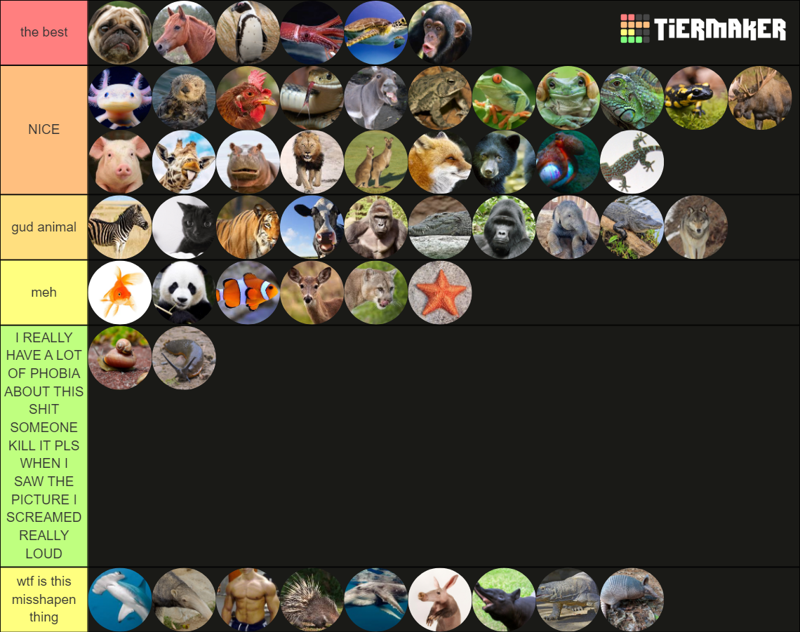 Animals Tier List (Community Rankings) - TierMaker